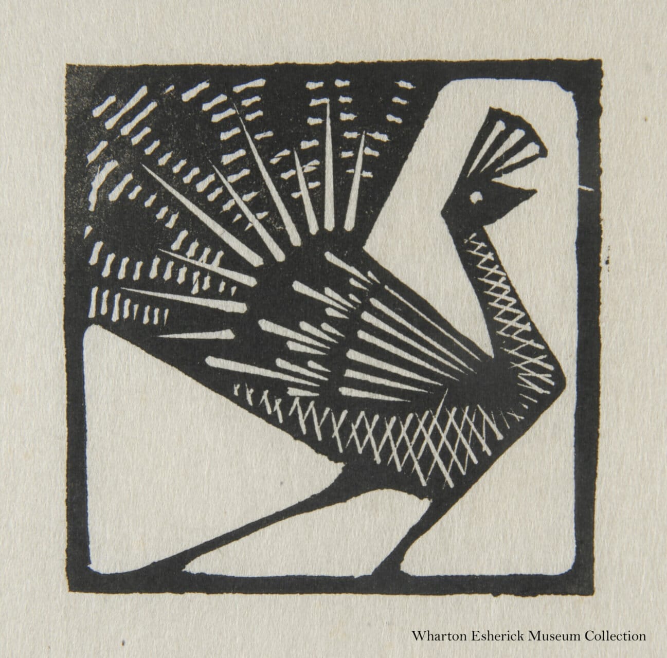 Woodcut Wednesday Highlight: Stuffed Peacocks – Wharton Esherick Museum